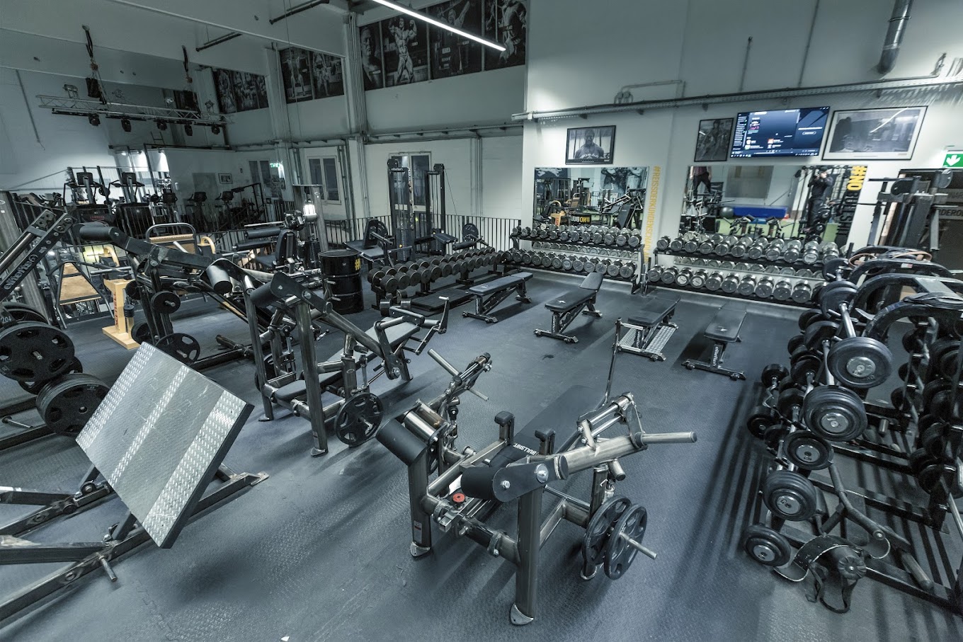 DAS GYM: Intelligent Strength - GYMSIDER