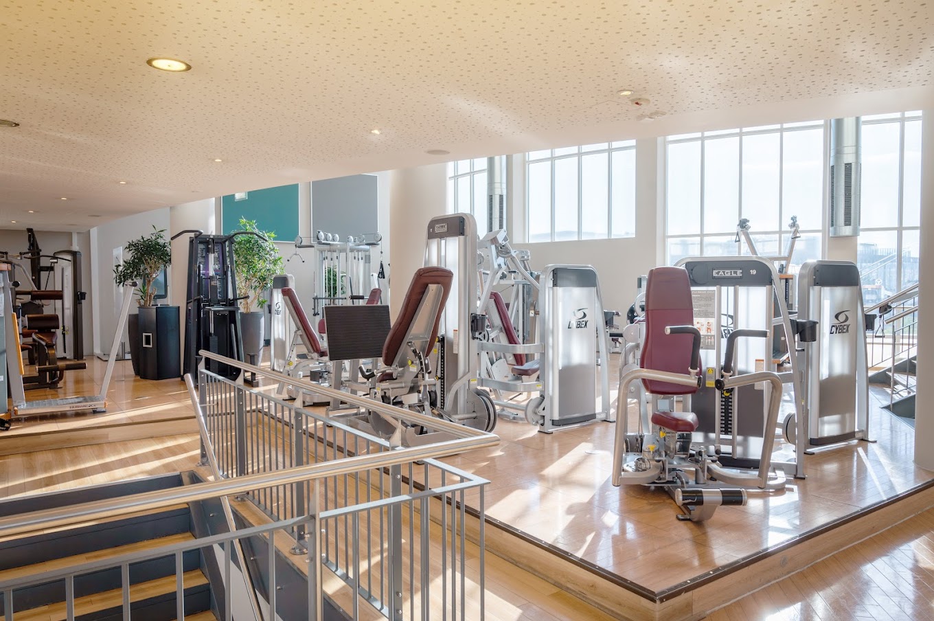 David Lloyd Meridian Kiel Sophienhof - GYMSIDER