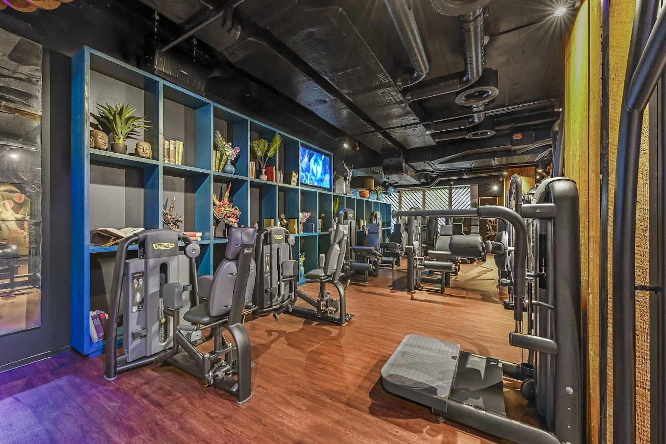 John Reed Fitness Zürich - GYMSIDER