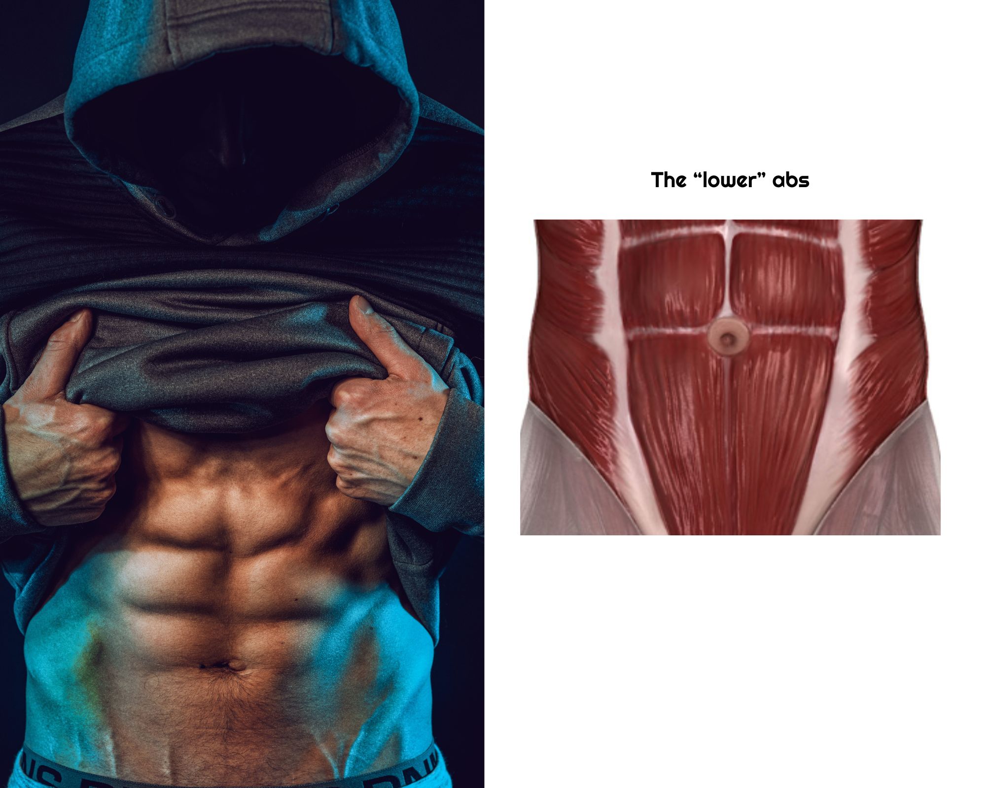 5 of the Hardest to Train Body Areas - GYMSIDER